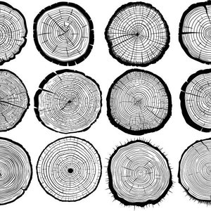 Tree Stump Svg, Tree Stump Clipart, Tree Stump Silhouette, Tree Stump ...