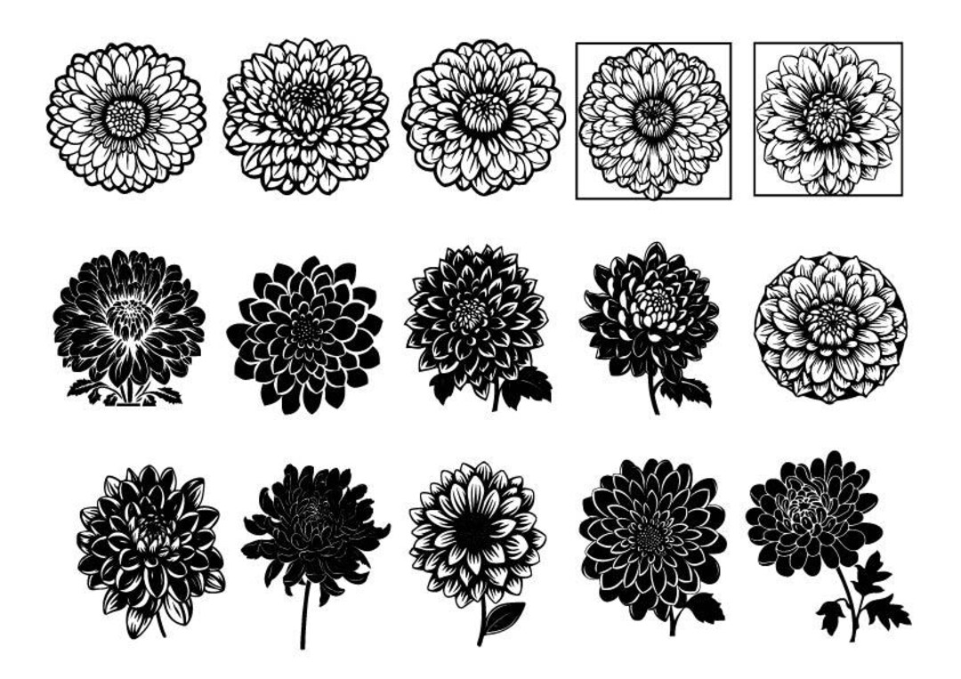 Dahlia Flower Svg, Dahlia Bundle Svg, Dahlia Clipart, Dahlia Cut Files ...