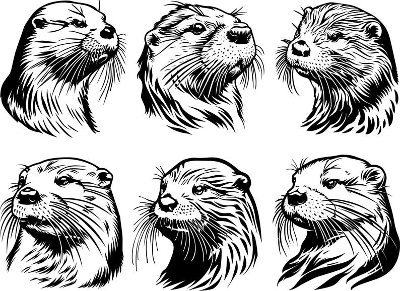 Otter Svg Bundle, Otter Clipart, Otter Cut Files for Cricut, Otter ...
