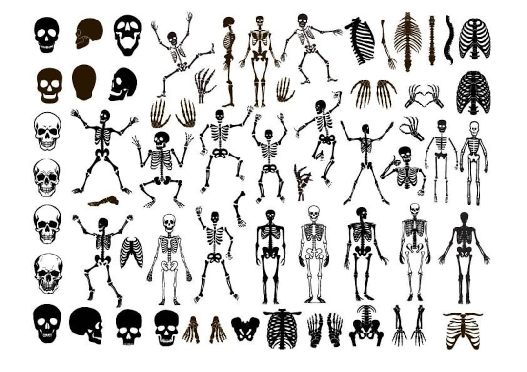 SKELETON SVG, Skeleton Svg Bundle, Skeleton Clipart, Skeleton Cut Files ...