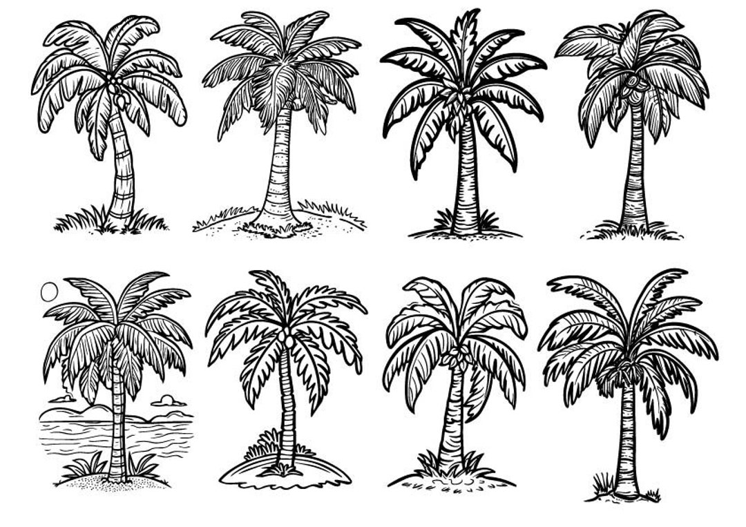 Palm Tree Svg Bundle, Palm Tree Svg, Palm Tree Clipart, Palm Tree Cut ...
