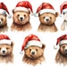 Watercolour Christmas Bear Clipart, Xmas Teddy Bears Png, Watercolor ...
