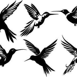 Hummingbird SVG, Hummingbird Bundle Svg, Hummingbird Clipart ...