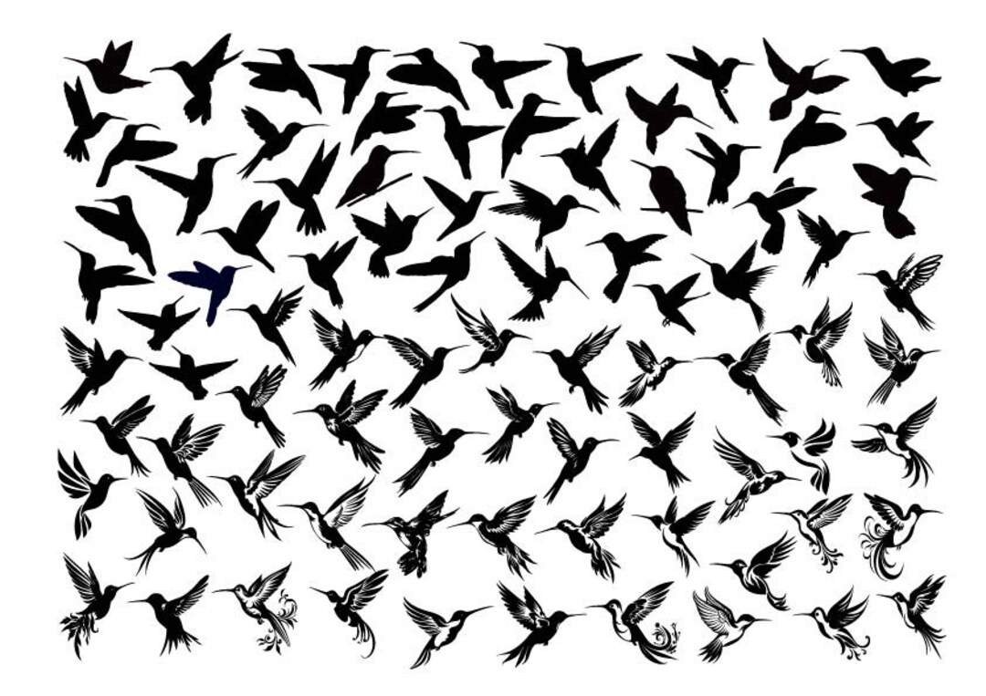 Hummingbird SVG, Hummingbird Bundle Svg, Hummingbird Clipart ...