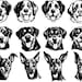 Dog Svg Bundle, Dog Breeds Svg, Dogs Clipart, Dogs Cut Files for Cricut ...