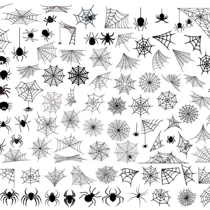 Spider Images Clip Art - Etsy