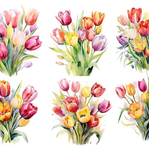 Watercolor Tulips Clipart, Spring Clipart Png, Tulips Clipart Bundle ...