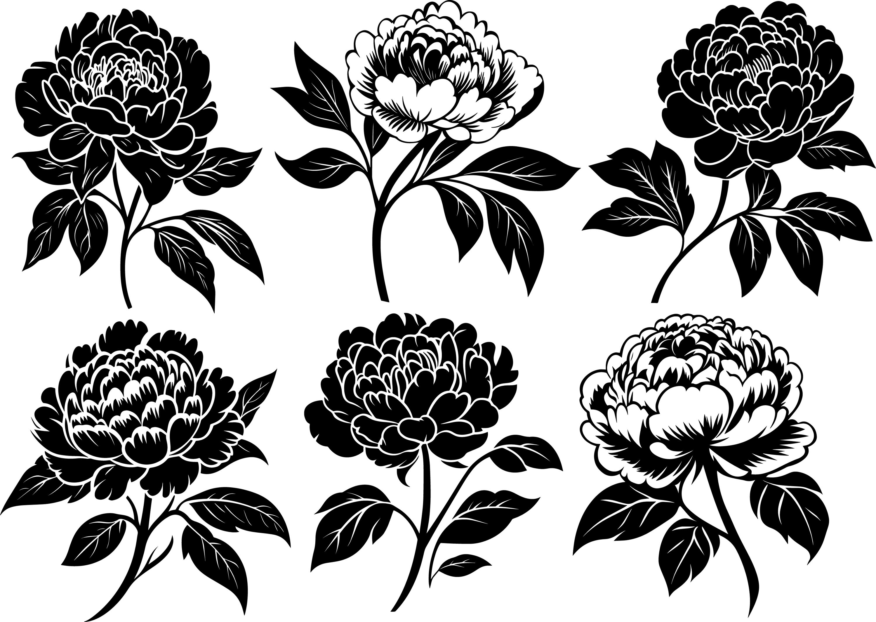 Peony Svg Bundle, Peony Flower Svg, Peony Clipart, Peony Cut Files for ...