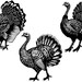 TURKEY SVG, Turkey Svg Bundle, Turkey Clipart, Farm Animals Svg, Turkey ...