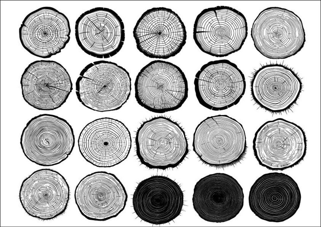 Tree Stump Svg, Tree Stump Clipart, Tree Stump Silhouette, Tree Stump ...