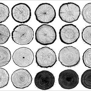 Tree Stump Svg, Tree Stump Clipart, Tree Stump Silhouette, Tree Stump ...
