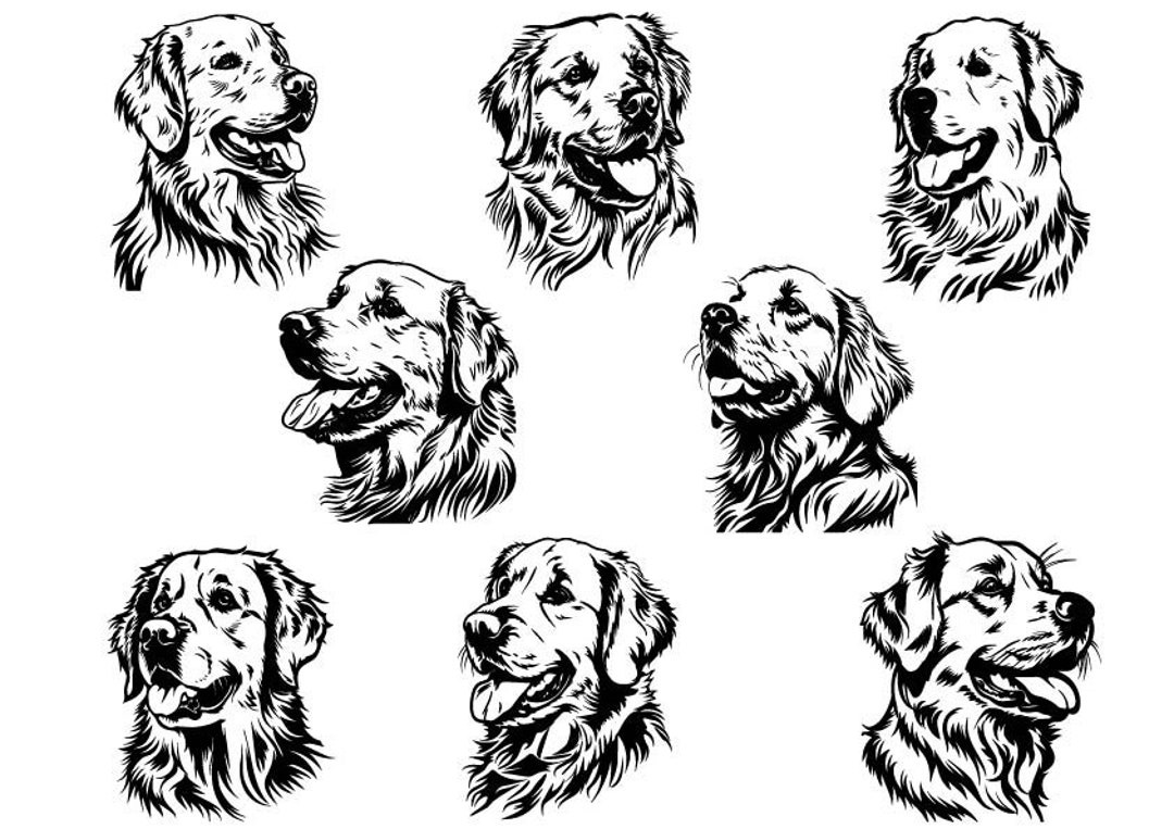 Golden Retriever Svg, Golden Retriever Clipart, Golden Retriever Cut ...