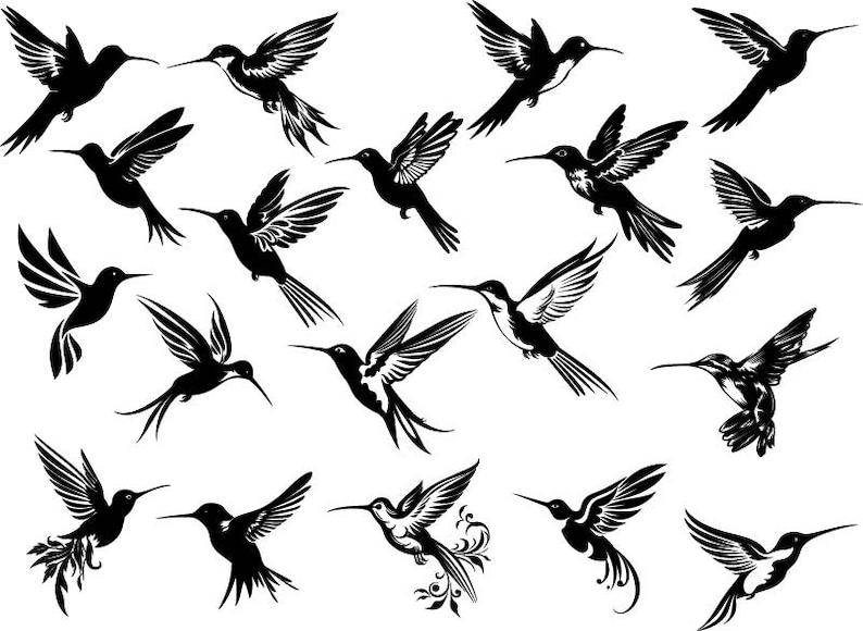 Hummingbird SVG, Hummingbird Bundle Svg, Hummingbird Clipart ...