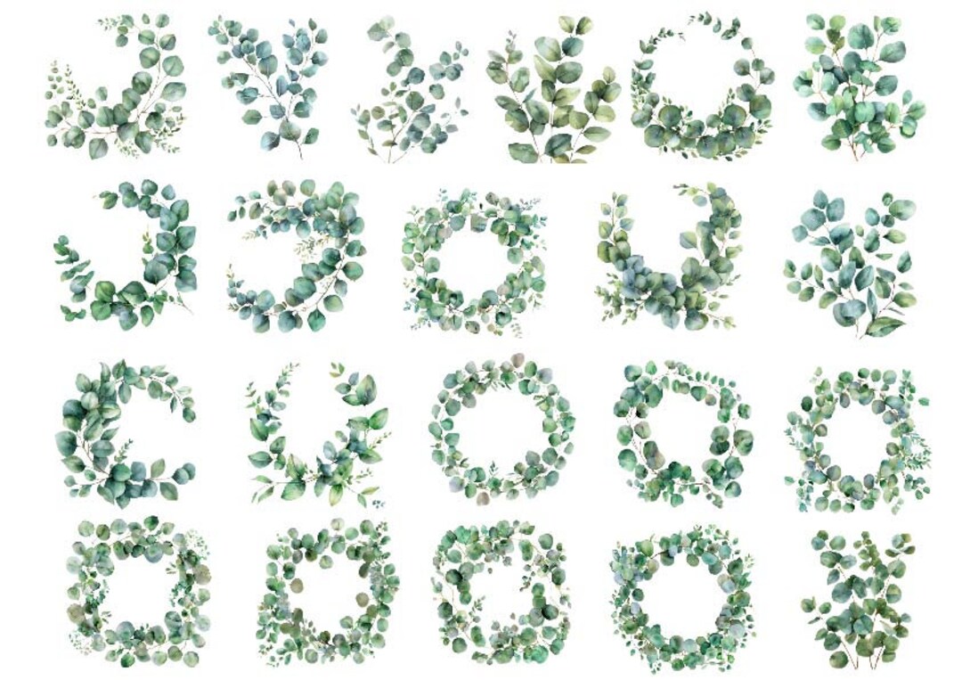 Watercolor Eucalyptus Clipart, Wedding Clipart, Botanical Clipart ...