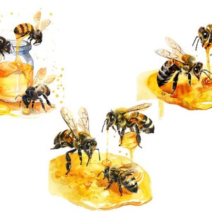 Watercolor Honey Clipart, Honey Bee Clipart, Honeycomb Illustrations ...