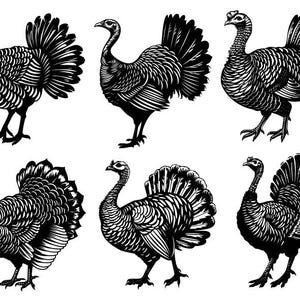 TURKEY SVG, Turkey Svg Bundle, Turkey Clipart, Farm Animals Svg, Turkey ...