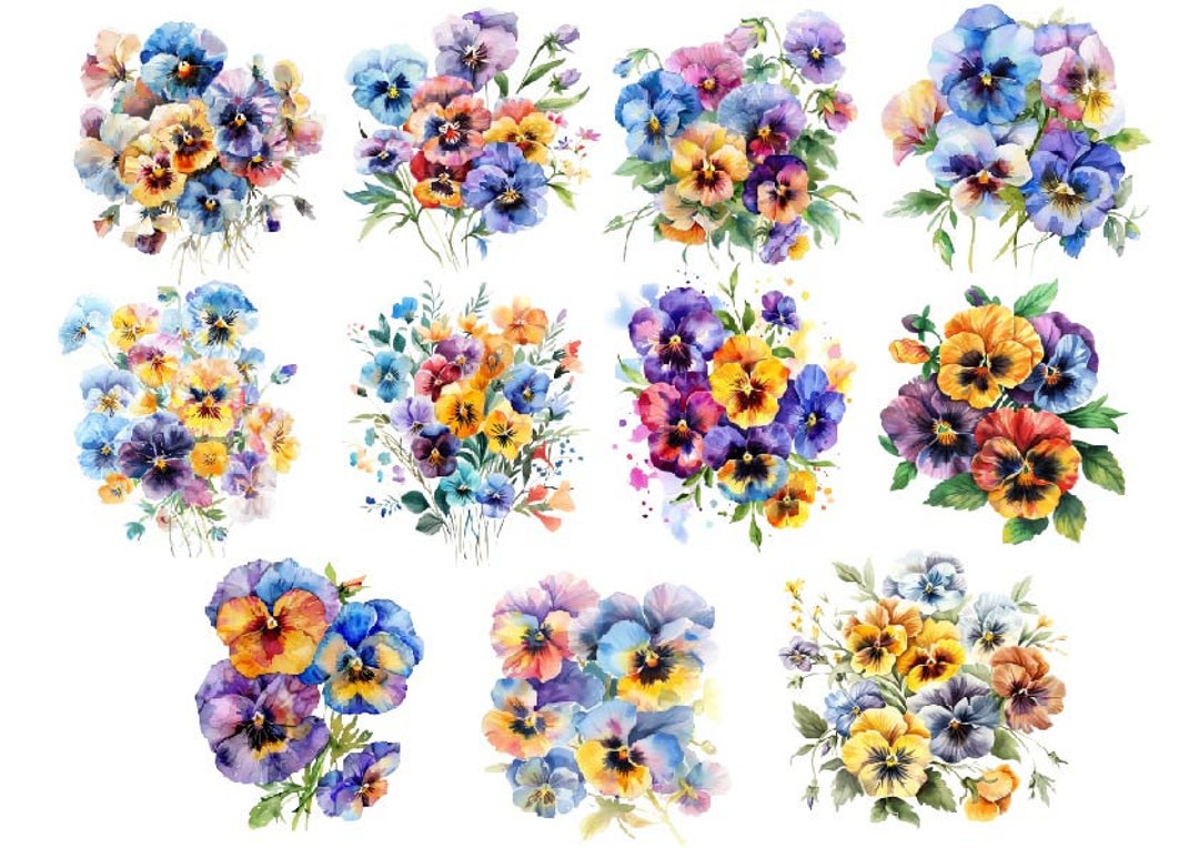 Watercolor Pansy Flowers Clipart Bundle, Pansy Flowers Png, Watercolor ...