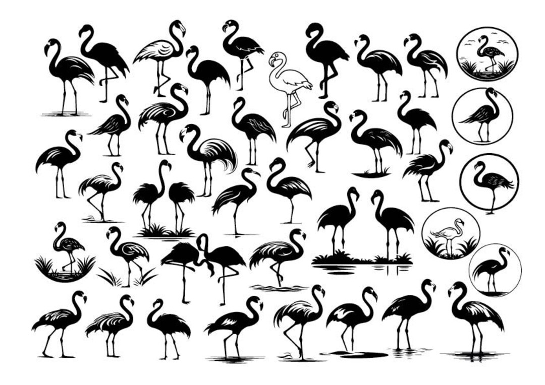 FLAMINGO SVG BUNDLE , Flamingo Svg, Flamingo Cut File , Bird Svg ...