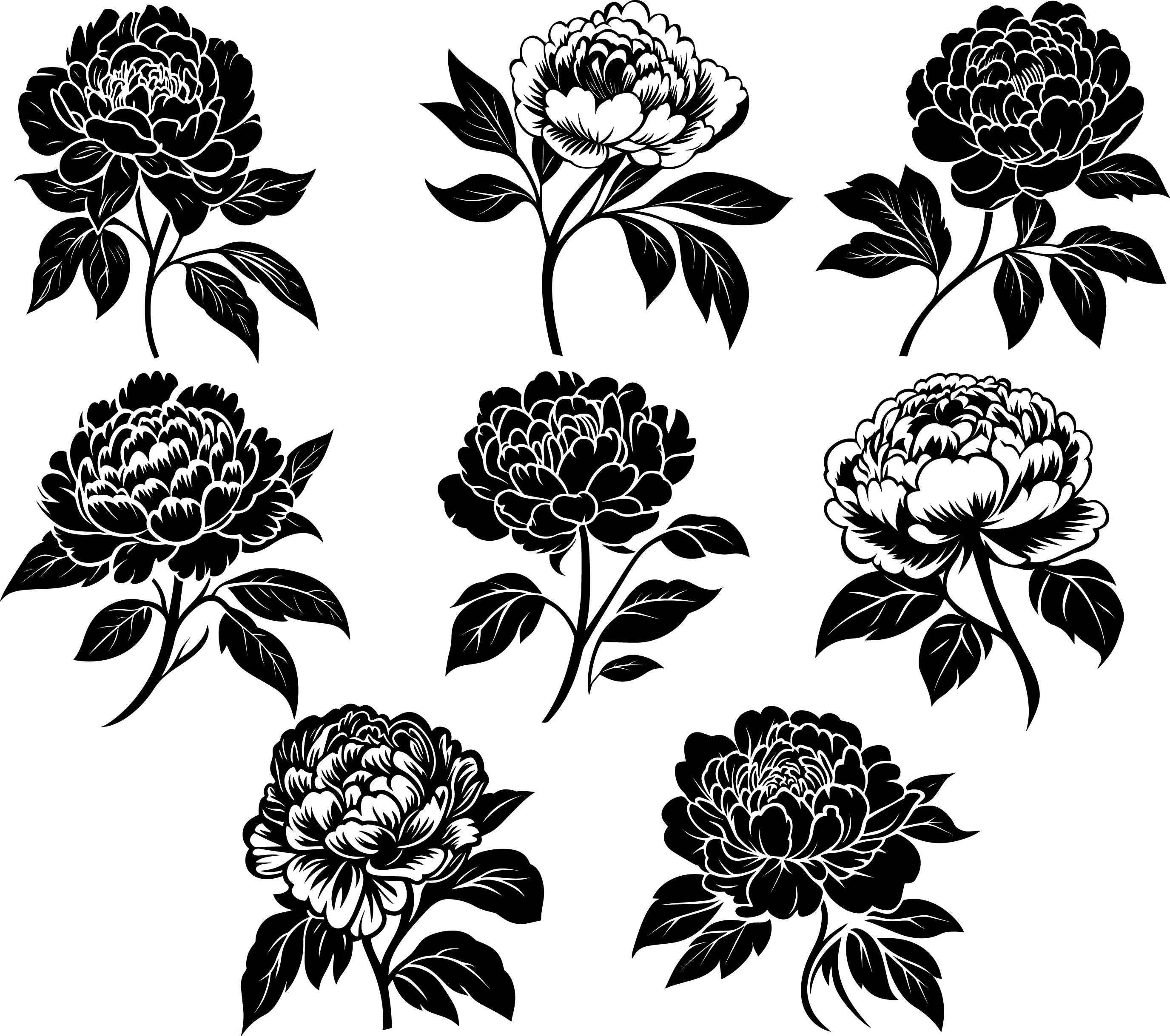 Peony Svg Bundle, Peony Flower Svg, Peony Clipart, Peony Cut Files for ...