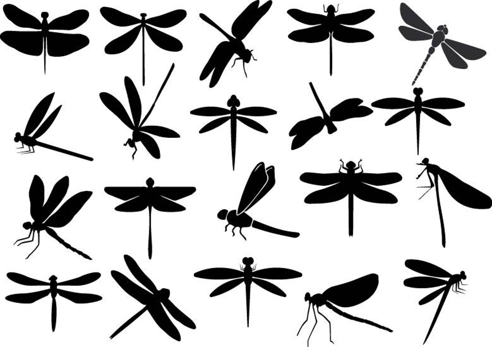 DRAGONFLY SVG, Dragonfly Svg Bundle, Dragonfly Clipart, Dragonfly Cut ...