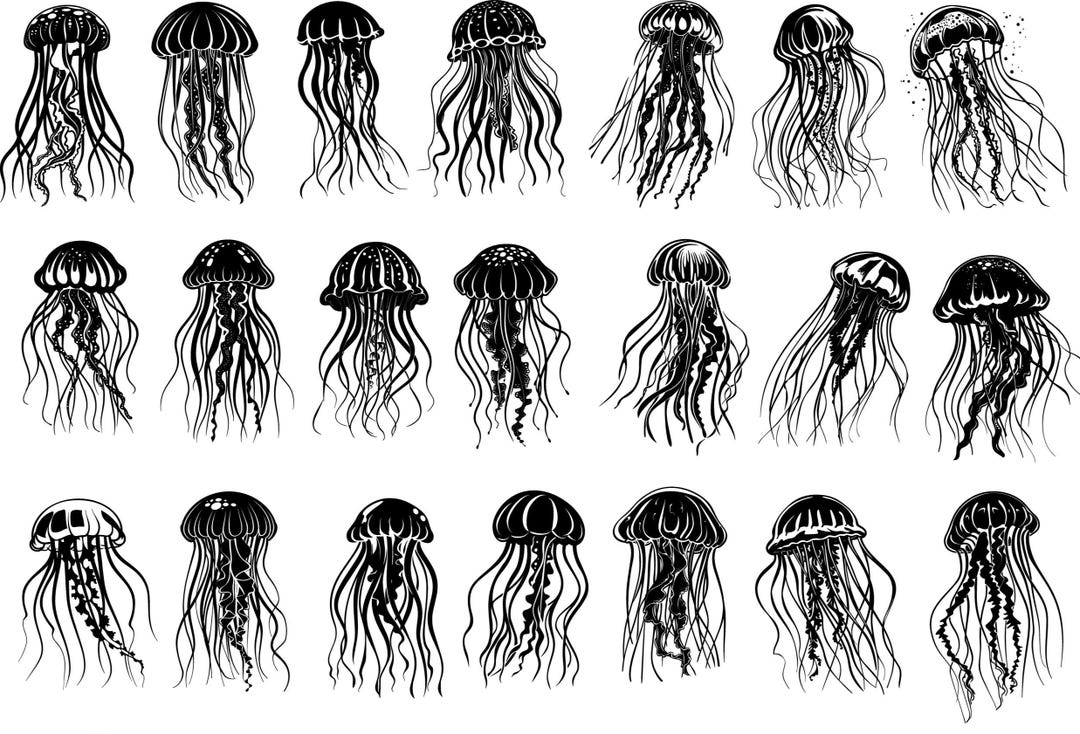 Jellyfish Svg Bundle, Jellyfish Clipart, Jellyfish Vector, Ocean Life ...
