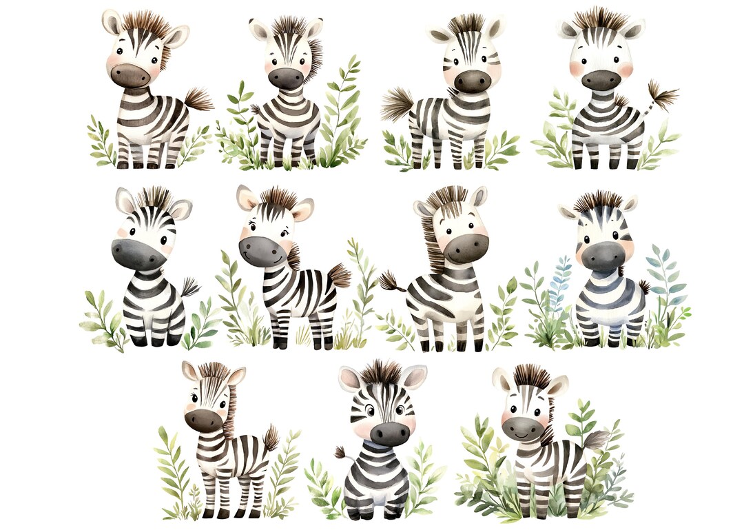 Watercolor Zebra Clipart, Cute Zebra Clipart, Watercolor Cartoon Zebra ...