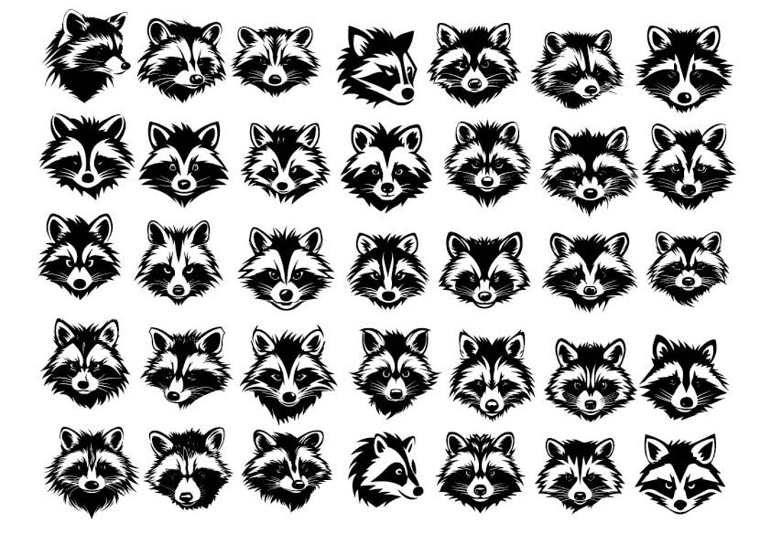 RACCOON SVG, Raccoon Bundle Svg, Raccon Cricut , Raccoon Clipart ...
