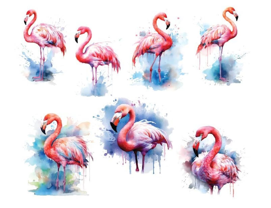 WATERCOLOR FLAMINGO PNG, Watercolor Flamingo Clipart, Flamingo Clipart ...