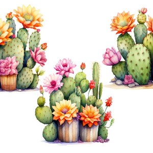 Watercolor Desert Cactus Clipart, Watercolor Cactus Png, Succulent ...