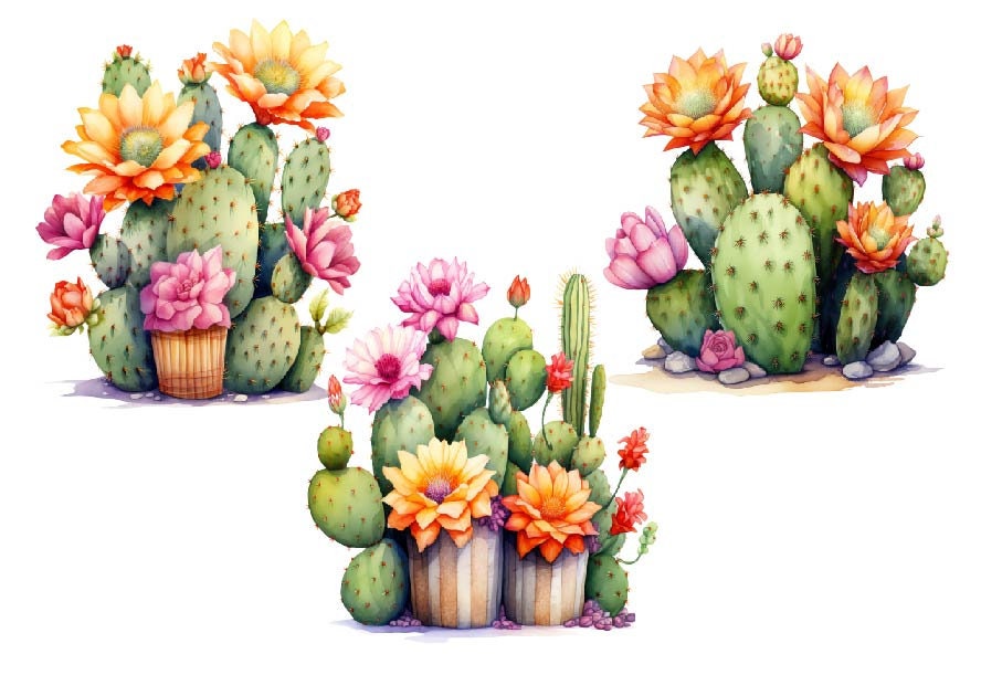 Watercolor Desert Cactus Clipart, Watercolor Cactus Png, Succulent ...