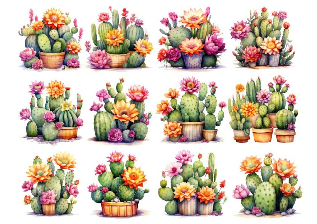 Watercolor Desert Cactus Clipart, Watercolor Cactus Png, Succulent ...