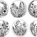 Floral Circle Svg, Flowers Svg, Flowers Cut Files for Cricut, Flowers ...