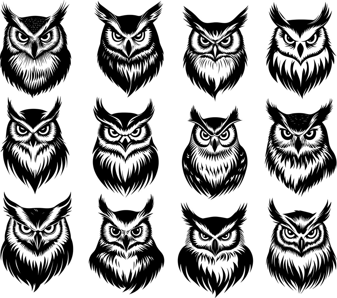 Owl Svg, Owl Svg Bundle, Owl Clipart, Owl Cut Files for Cricut, Owl ...