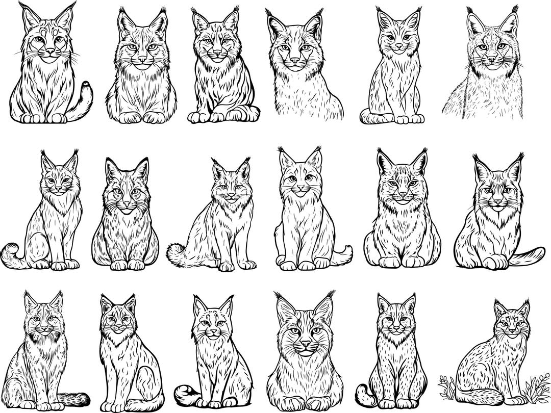 Wild Cat Svg, Wildlife Svg, Cat Clipart, Cat Cut Files for Cricut ...