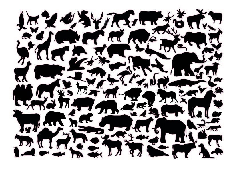 ANIMALS BUNDLE SVG Animals Cricut Animals Clipart Animal - Etsy Australia