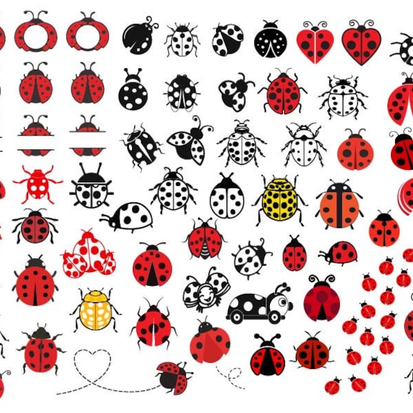 Ladybug Svg - Etsy