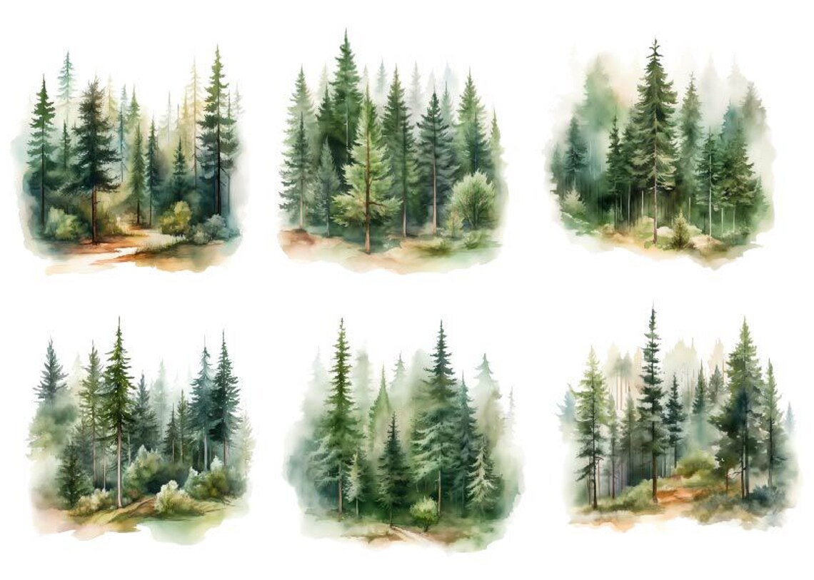 Watercolor Pine Forest, Watercolor Forest Tree Clipart, Pine Tree Png ...
