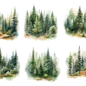 Watercolor Pine Forest, Watercolor Forest Tree Clipart, Pine Tree Png ...