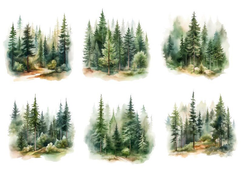 Watercolor Pine Forest, Watercolor Forest Tree Clipart, Pine Tree Png ...