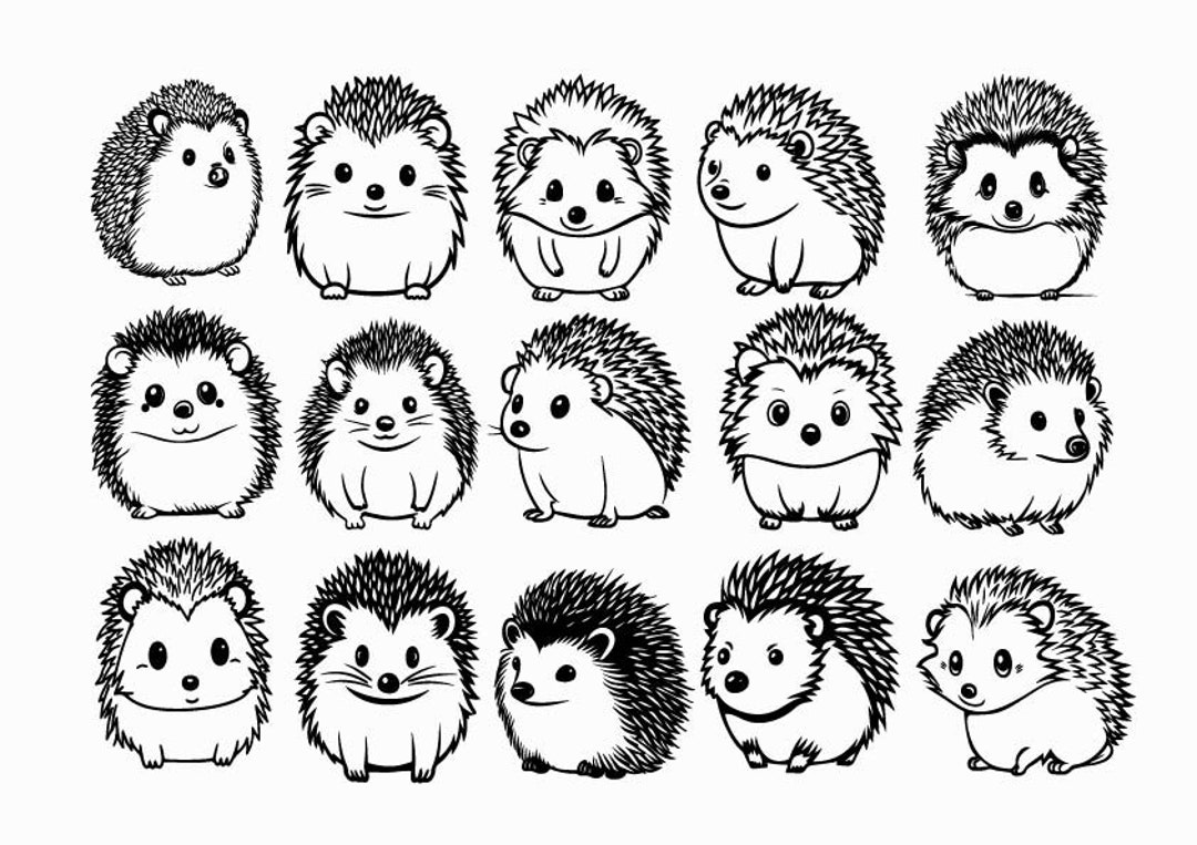 Hedgehog Bundle Svg, Hedgehog Svg, Hedgehog Clipart, Hedgehog Cut Files ...
