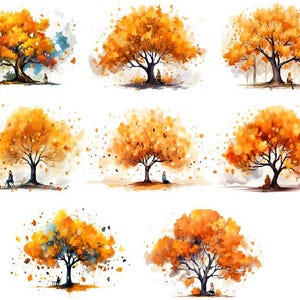 Watercolor Autumn Clipart, Watercolor Fall Tree Clipart, Autumn Tree ...