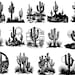 Cactus Bundle Svg, Cactus Scene Svg, Desert Landscape Svg, Cactus ...