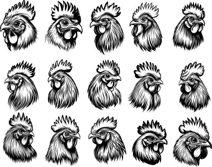 Chicken Bundle Svg, Chicken Head Svg, Chicken Clipart, Rooster Clipart ...