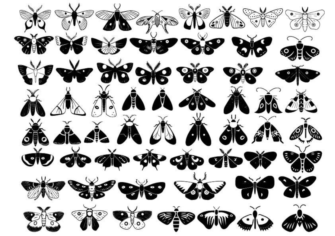 Moth Svg Bundle, Moth Clipart, Moth Cut Files for Cricut, Butterfly Svg ...