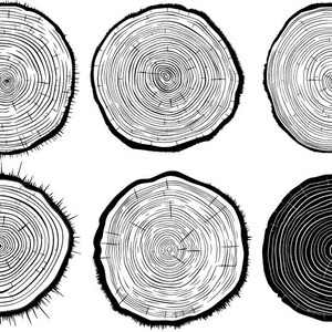 Tree Stump Svg, Tree Stump Clipart, Tree Stump Silhouette, Tree Stump ...