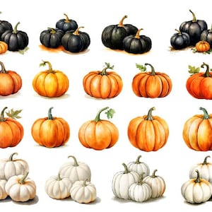 Watercolor Pumpkin Clipart, Watercolor Fall Clipart, Watercolor Pumpkin ...