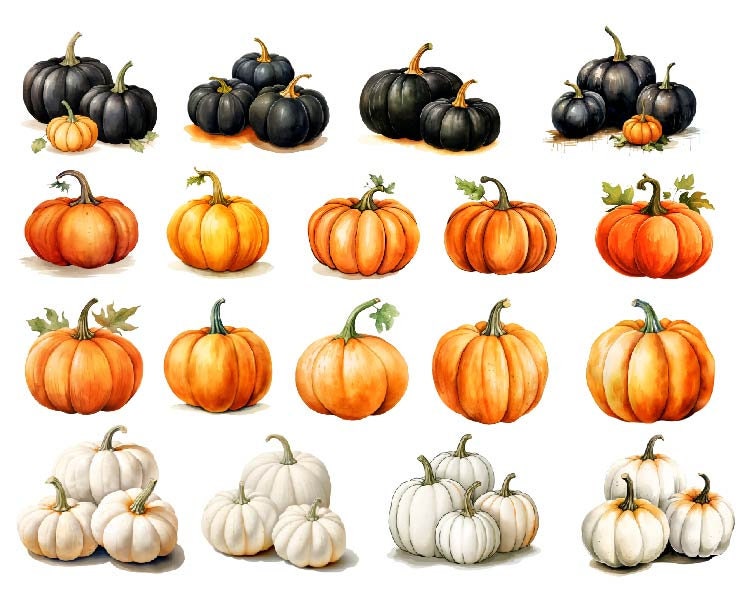 Watercolor Pumpkin Clipart, Watercolor Fall Clipart, Watercolor Pumpkin ...