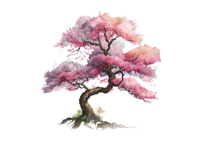 CHERRY TREE PNG Cherry Tree Watercolor Sakura Tree - Etsy