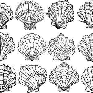 Seashell Svg Bundle, Sea Life Svg, Nautical Svg, Seashell Clipart ...