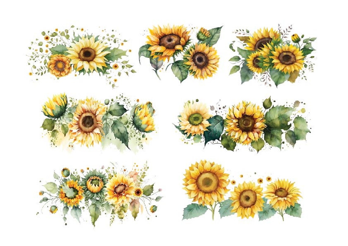 Sunflower Watercolor Png Sunflower Watecolor Clipart - Etsy